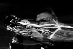 Cat Anderson - Galerie Prints - Premium Photographic Prints