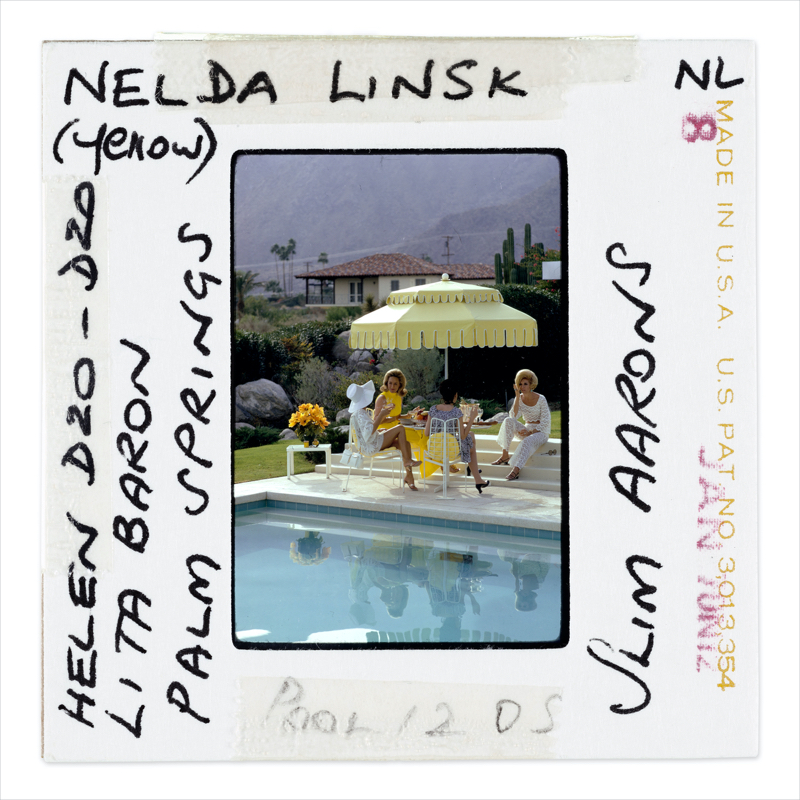 Nelda And Friends Slide - Galerie Prints - Premium Photographic Prints