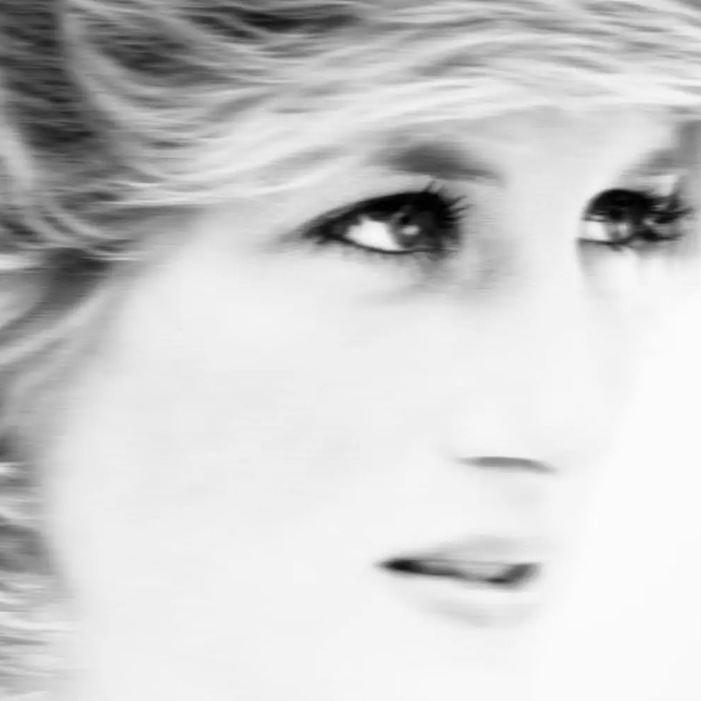 Royalty - Galerie Prints - Premium Photographic Prints