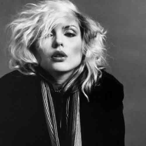 Blondie - Galerie Prints - Premium Photographic Prints